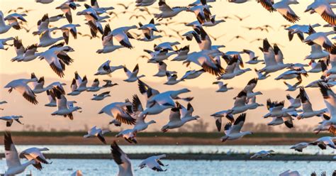 Drupal Migration Migrating Basic Data Part 1
