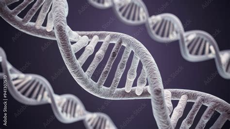 3d Representation Of A Dna Molecule Featuring Two Intertwined Polynucleotide Chains Made Up Of
