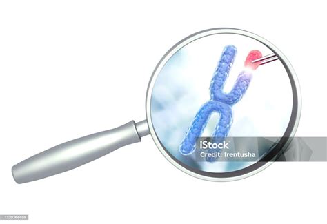 유전 공학 Gmo 및 유전자 조작 개념 0명에 대한 스톡 사진 및 기타 이미지 0명 3차원 형태 Dna Istock