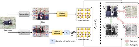 Self Distillation Based Training For Classification Here Ema Means Download Scientific