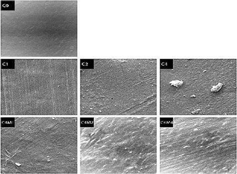 SEM Micrographs Of The Cross Section Area Of Neat HDPE And Its Download Scientific Diagram