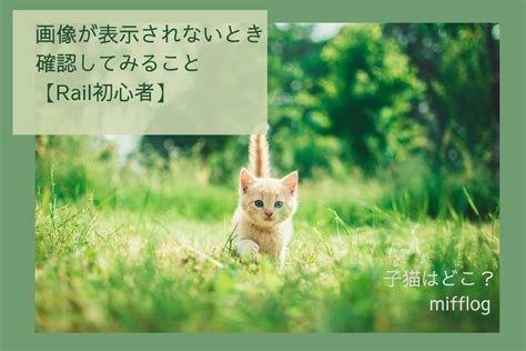 Routesetrbfファイルで起きたargumenterrorに対処する Mifflog