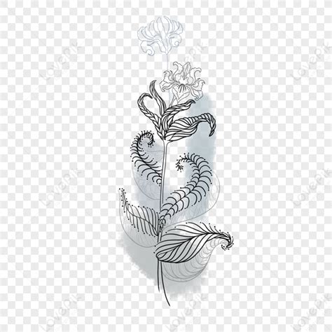 만화 일러스트 검은 선 그리기 식물 잔디수생 식물꽃들 Png 일러스트 무료 다운로드 Lovepik