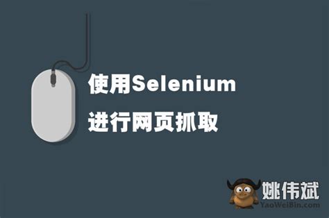 如何使用selenium Stealth进行网页抓取 姚伟斌