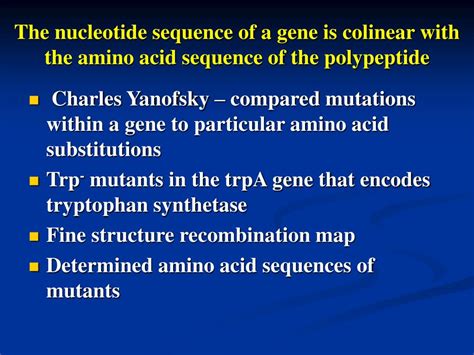 Ppt A Triplet Codon Represents Each Amino Acid Powerpoint