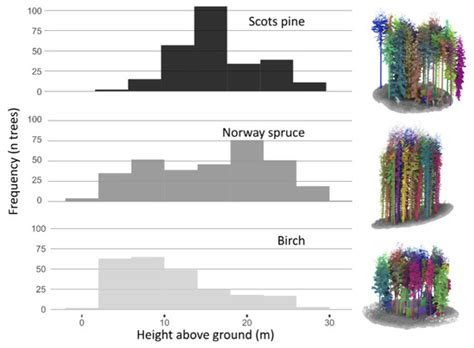 Remote Sensing Free Full Text Point2treep2t—framework For Parameter Tuning Of Semantic And