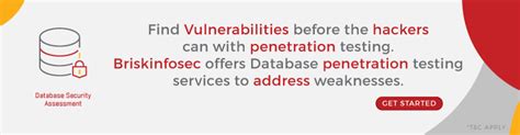 what is black box security testing briskinfosec