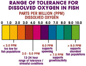 Dissolved Oxygen Biosphere