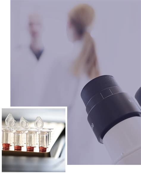 bioassay bioanalytical contract laboratory