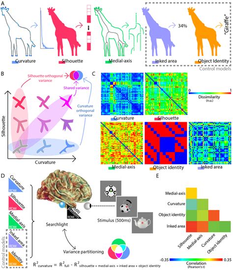 Schematic Of The Shape Models And Experiment A Five Different Object Download Scientific