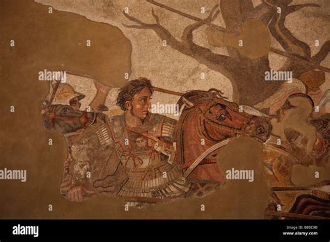 Alexander The Great Detail Of The Alexander Mosaic From Pompeii In The