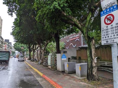 臺北交通安心行 學校通學步道 河堤國小 行道樹影響通行視距