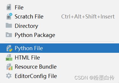 Python运行环境与开发环境搭建 python运行环境和开发环境 CSDN博客