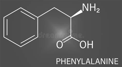 Phenylalanine Or L Phenylalanine Phe F Amino Acid Molecule Skeletal