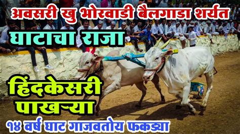 Bhorwadi Bailgada Sharyat Live घाटाचा राजा बाबाजीशेठ टेमगिरे १२६७