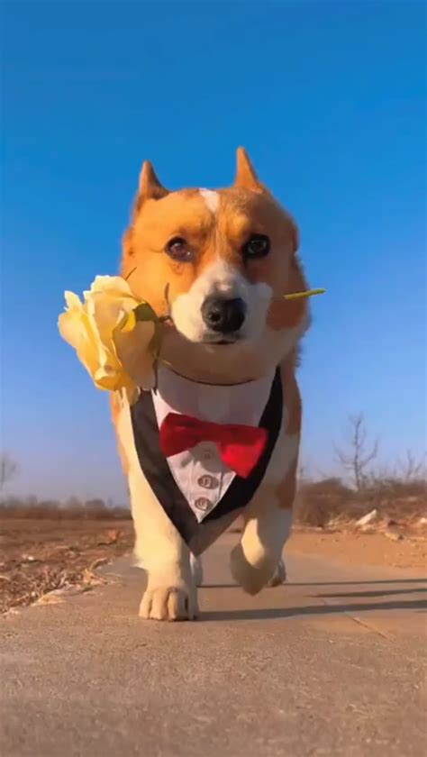 Mr Steal Yo Girl Rsatisfyingasfuck