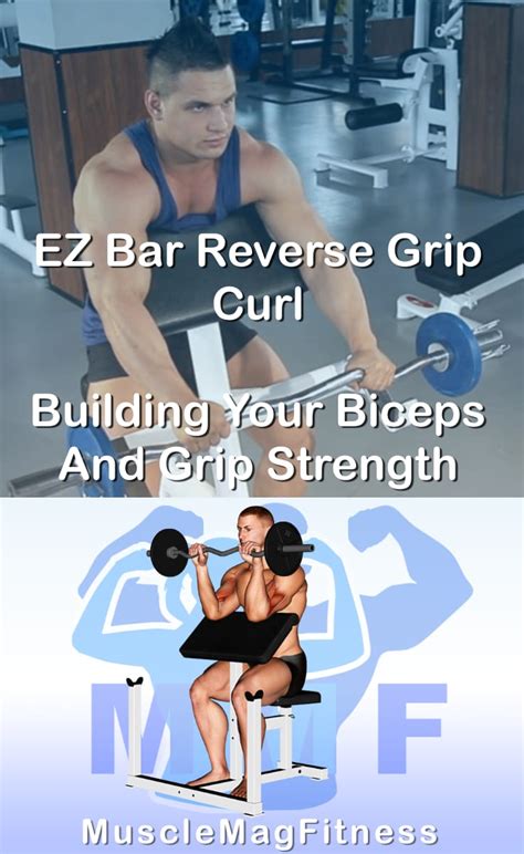 Ez Bar Reverse Grip Preacher Curl A Easy Way To Improve Your Grip