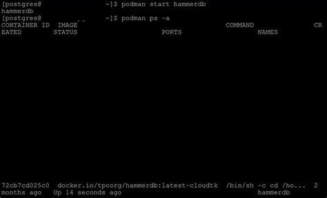 Tutorial Database Load Testing Using Hammerdb Proventa