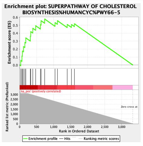 Gsea Preranked Different Results Opposing Phenotypes Bioinformatics