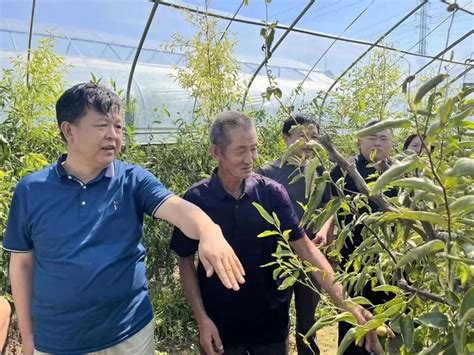 作风整顿重实效 科技服务送真情 运城市规划和自然资源局网站