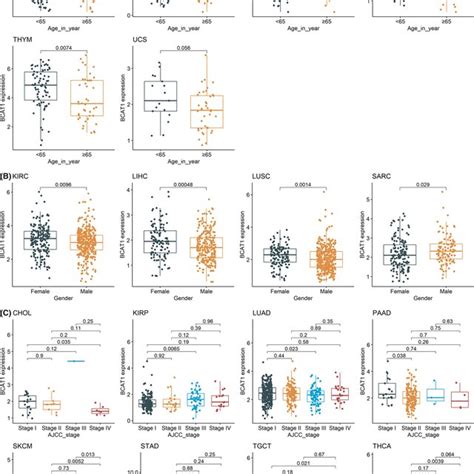 associations of bcat1 expression and patients clinical features the