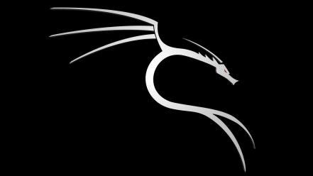 Backtrack 5 Linux Dragons Wallpaper 46799