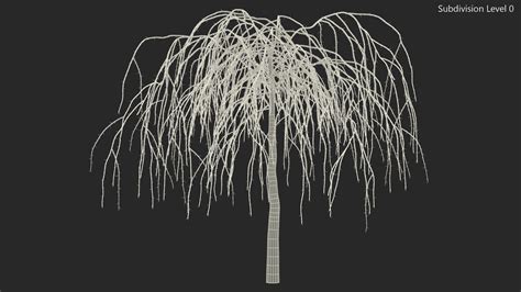 Nude Weeping Mulberry 3d Model 39 3ds Blend C4d Fbx Max Ma