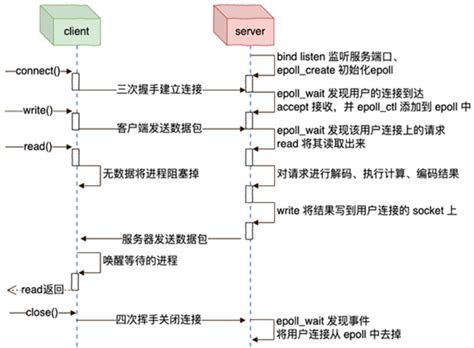 Redis事件驱动 aeEventLoop 原理分析 极客之道