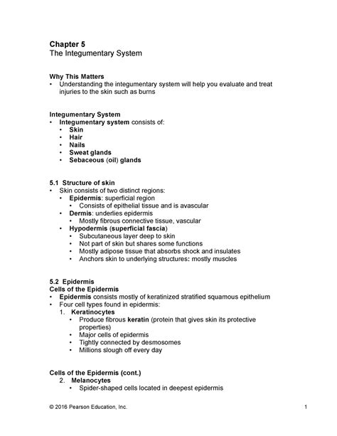 Ch Lecture Presentation Chapter The Integumentary System Why This Matters Understanding