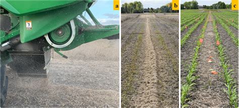 Chaff Lining Limits Weed Seed Spread At Harvest Research Finds