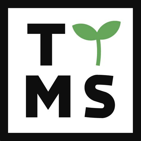 Power Apps And AI Trusted Solutions For Business TTMS