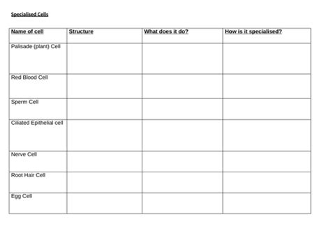 Ks3 Science Cells Specialised Cells Teaching Resources