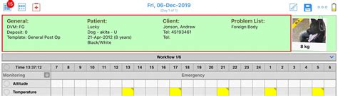 How Can I Delete A Patient Idexx Smartflow Support
