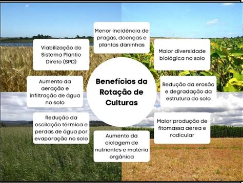 Benefícios Da Rotação De Culturas Fonte Autores Download