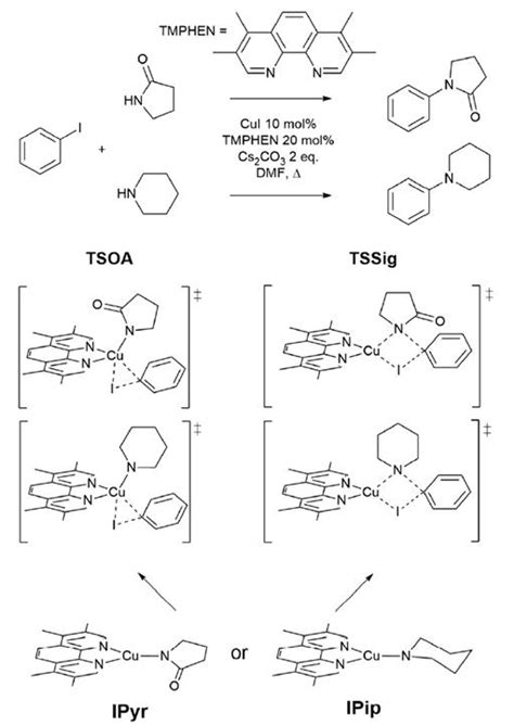 Agustín Oyhamburú Pantano On Linkedin Catalyst Ligand Design Using Csd