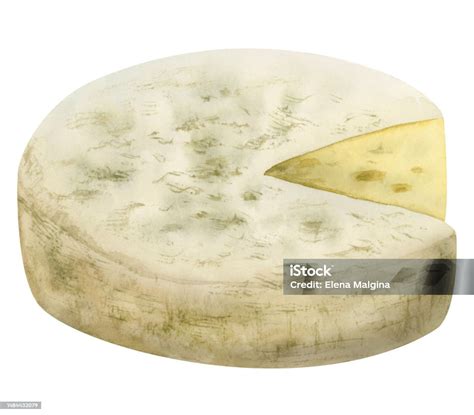 수채화 카망베르 라운드 치즈와 잘라낸 조각 그림 Creamy Brie 클립 아트 음식 디자인 프랑스 요리 유제품 메뉴 거품