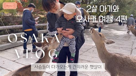육아브이로그 15개월 아기와 나라 방문기 사슴공원에서 아기는 과연 어떤 시간을 보냈을까 엄마는 무서워하는데 아기는 너무 씩씩했던 일화 Younghagae