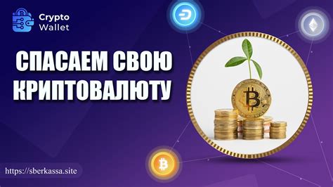 Спасаем свою криптовалюту Где безопасно хранить криптовалюту Blockchain СберКасса Youtube