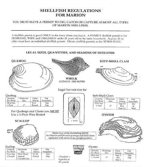 Shellfish Area Map Rules And Regulations Marion Ma