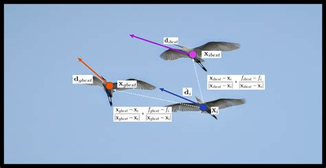 Following Behaviour Of Egret Swarms As An Effective Way Of Gradient