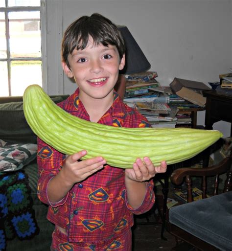 Curlicue Creations What To Do With A Giant Cucumber