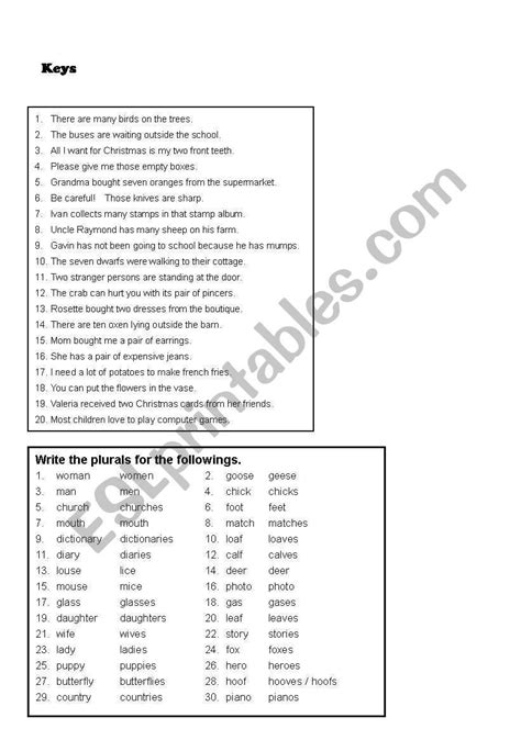 Plural Nouns Bw And Keys Worksheet Plurals Nouns Plural Nouns