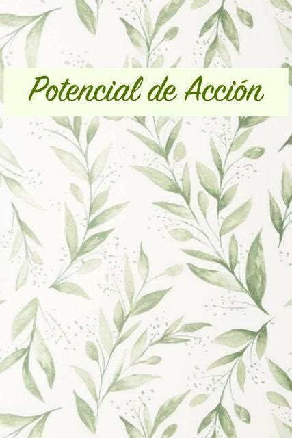 Potencial De Membrana Kimberly Brisseth Cieza Vargas Udocz