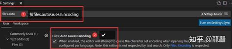 VSCODE setup 知乎