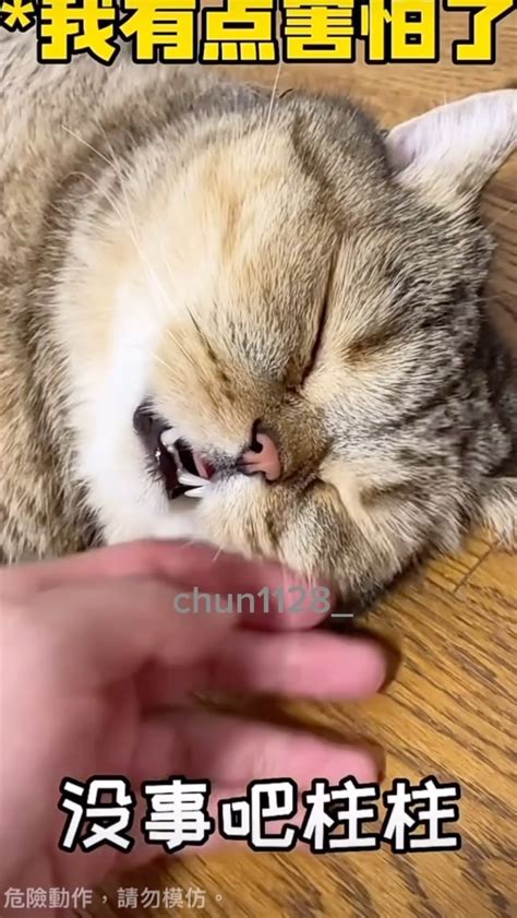 將軍 Chun1128 • Instagram Photos And Videos