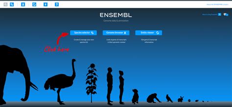 This Is The Homepage For The New Ensembl Which Is Currently Released
