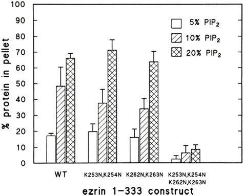 Cosedimentation Of Wild Type And Mutant Ezrin 1 333 With Large