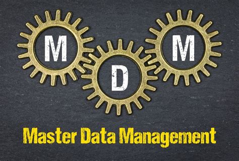 Master Data Management Explanation Examples Benefits