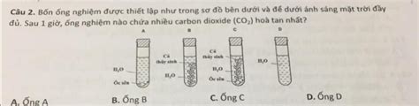 C U B N Ng Nghi M C Thi T L P Nh Trong S B N D I V D I Nh S Ng M T Tr I Y