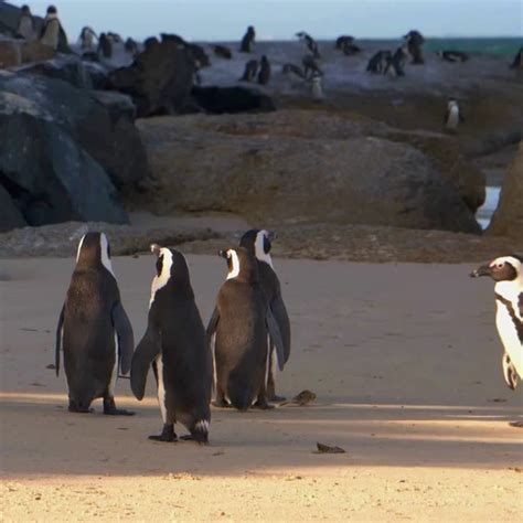 Zoe Melchizedek On Linkedin Vision Enables Seed Gallery